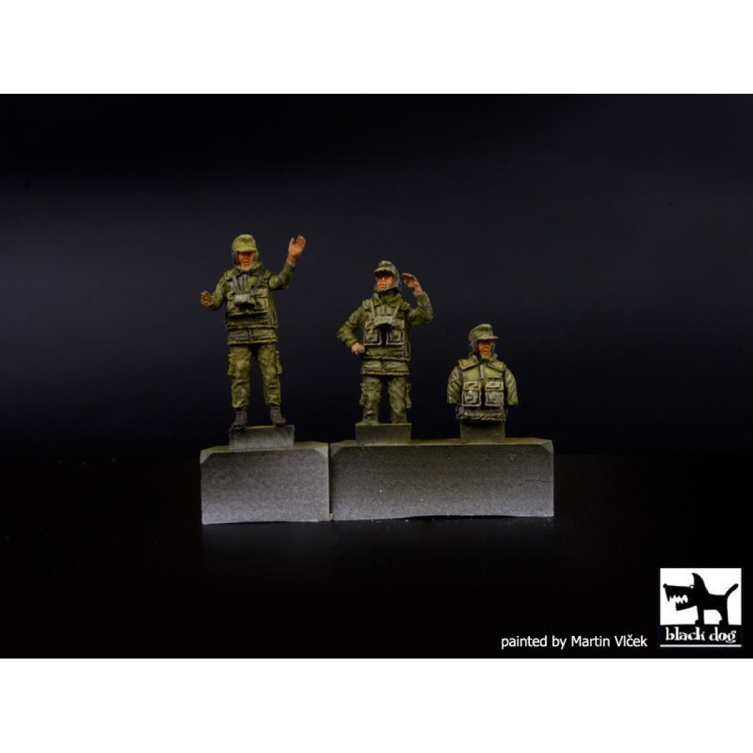 Black Dog T72053 1/72 German modern tank crew