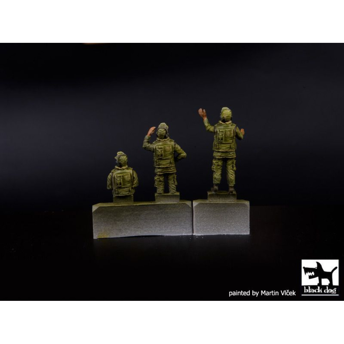 Black Dog T72053 1/72 German modern tank crew