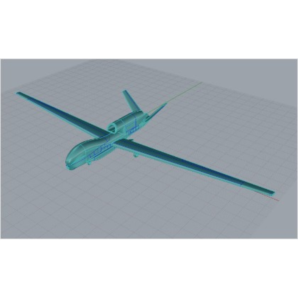 Miniwing 309 1/144 Northrop Grumman Rq-4b / Usaf Unmanned Surveillance ...